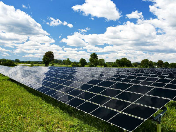 Parc fotovoltaic, la Răcari!