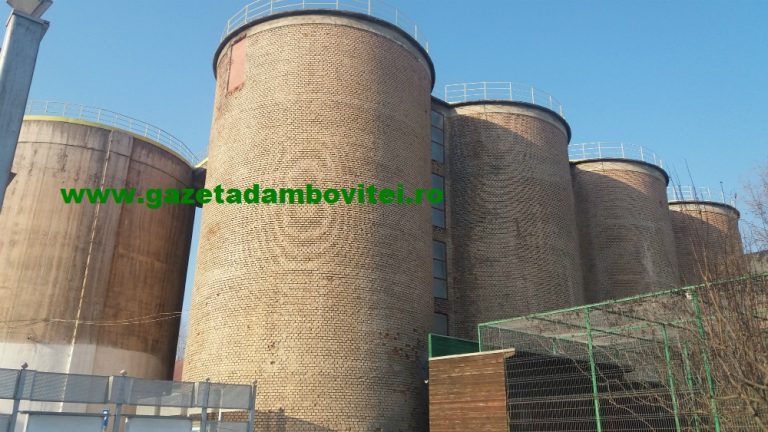 FOTO - Cum arată Fabrica de ciment de la Fieni! De 14 ani este preluată ...