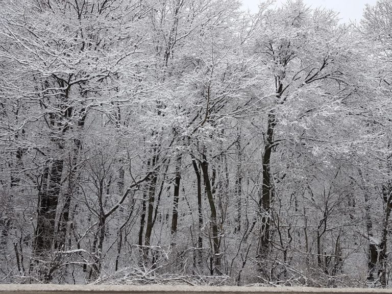 Vreme rece la Târgoviște: temperaturi în jur de 0 grade, ninsori și ...