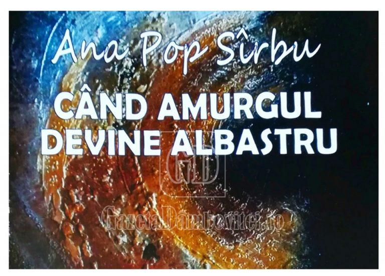 PLAYBOOK - Gabriel ENACHE - Între câine și lup